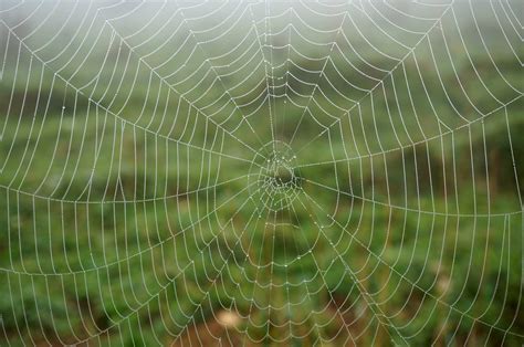 Docker Networks Explained Part 1 Accesto Blog