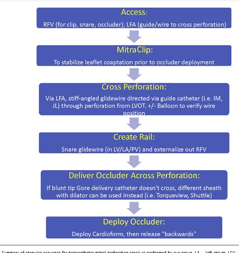 Figure 1 From Percutaneous Repair Of Mitral Valve Leaflet Perforation