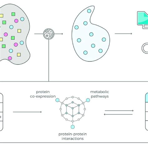 Our Feature Selection Consists Of Two Complementary Modules That Are