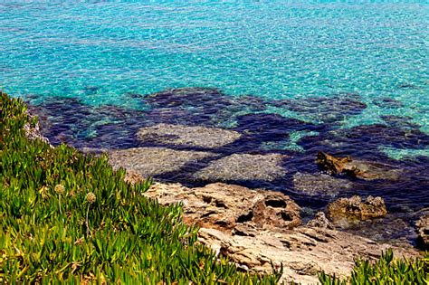 키프로스 섬에 있는 프로타라스 리조트 마을의 바위 해안 아무도 없습니다 지중해 0명에 대한 스톡 사진 및 기타 이미지 0명 Protaras 고대 그리스 양식 Istock