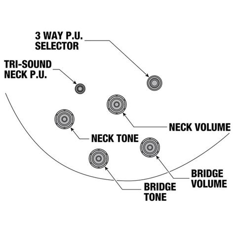 Ibanez Am153qa Dbs Thomann Sverige