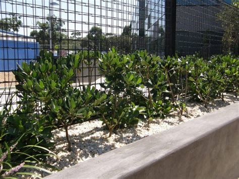 About The Product Archbar