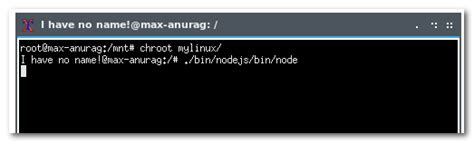 Linux After Doing Chroot A Copy Of Nodejs Inside Jail Do Not Launches Node Console Unix