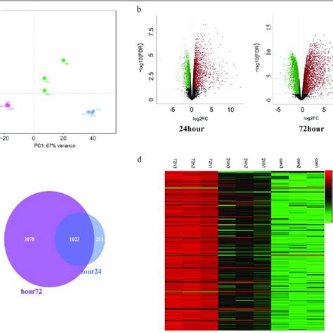 Transcriptome Analysis Of Different Time Points Of Mi A Principal