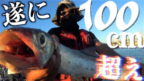 5話GT釣っても釣れなくても帰りますin石垣島100cm巨大イワシ YouTube