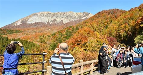 秋色の大山 観光客満喫 鳥取江府 山陰中央新報デジタル