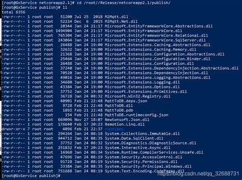 【centos7】部署net Core 控制台app为后台服务centos后台执行net控制台程序 Csdn博客