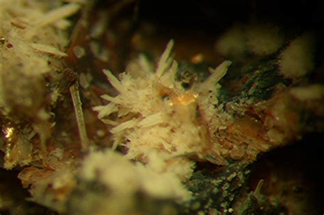 Mineralienatlas Lexikon Kalsilite English Version