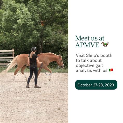 Sleip On Linkedin Team Sleip Is Heading To Vilamoura Algarve And The