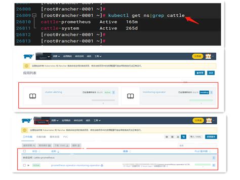257开启集群监控后，怎么删除cattle Prometheus这个namespace？ Rancher 2x Rancher 中文论坛