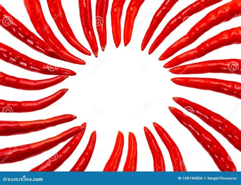 Circle Pepper Spicy Long Form On White Background Many Pods Symmetrical