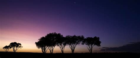 Nature Data Alliance Explorerland