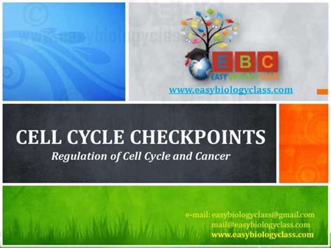 Cell Cycle Checkpoints Ppt By Easybiologyclass Pptx Biological Sciences Science