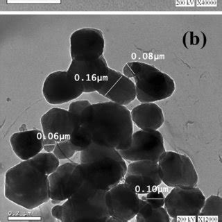 TEM Micrographs Of Functionalized Nanoparticles A SiO2 B TiO2 And C