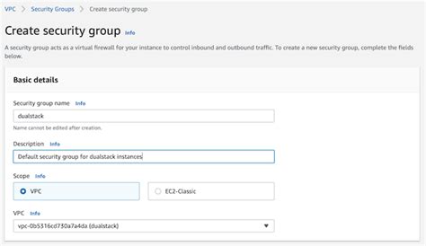 Creating Aws Ipv4ipv6 Dual Stack Ec2 Instances