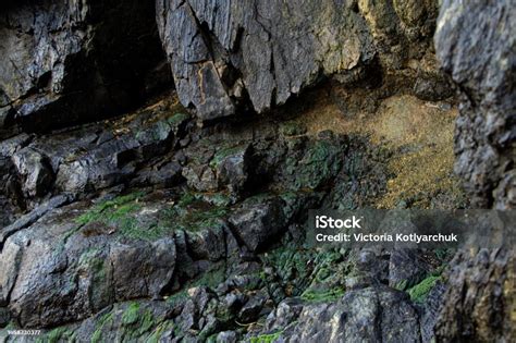 배경으로 오래된 채석장의 화강암 돌에 이끼 배경으로 사각형의 돌에 이끼 돌 0명에 대한 스톡 사진 및 기타 이미지 0명 갈색 거친 Istock