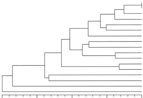 Unweighted Pair Group Method Arithmetic Average Dendrogram Constructed Download Scientific