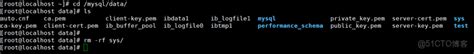 Mysqlfrm工具使用及基于frm和ibd文件的数据恢复和ibd迁移51cto博客的技术博客51cto博客