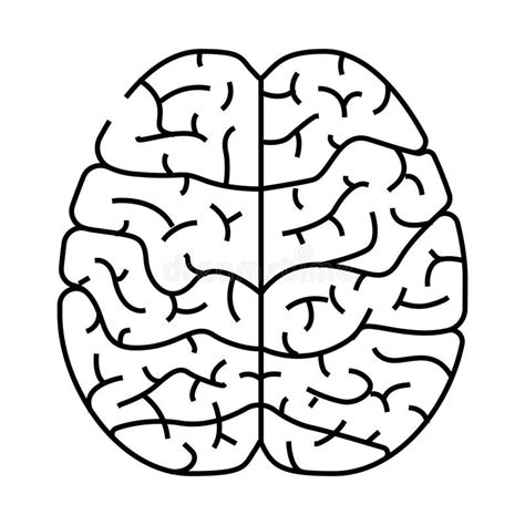 Brain Mapping Neuroscience Neurology Line Icon Vector Illustration Stock Illustration