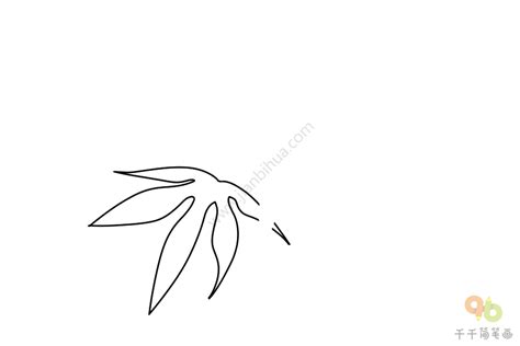 鸡爪槭叶子简笔画 树叶简笔画