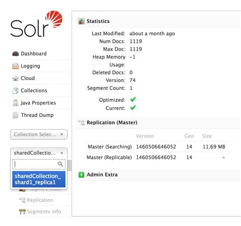 java caused by lock held by this virtual machine external index