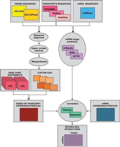 Computational Pipeline Detailed Scheme Of The Pipeline Implemented For Download Scientific