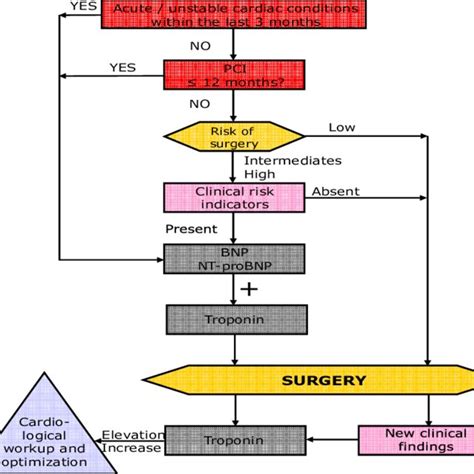 Swiss Algorithm For Risk Stratification Prior To Elective Non Cardiac