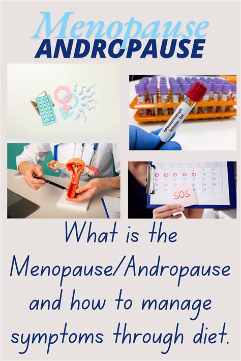 What Is The Menopauseandropause And How To Manage Symptoms Through