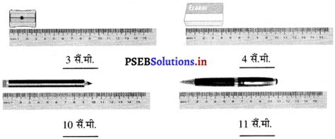 Pseb 3rd Class Maths Solutions Chapter 8 माप Pseb Solutions