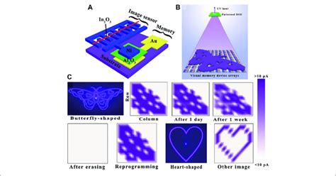 A Schematic Diagram Of The Bio Inspired Visual Memory Unit Download Scientific Diagram