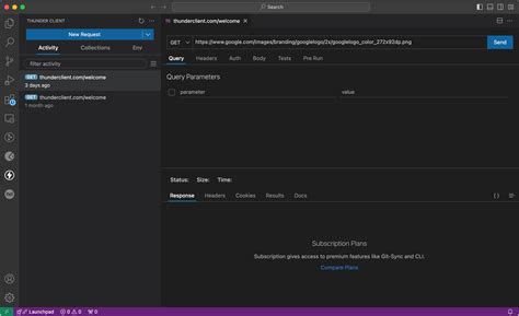 Postman Vs Thunder Client Apa Perbedaannya
