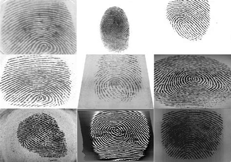 Figure 1 From Fingerprint Pattern Classification Using Convolution