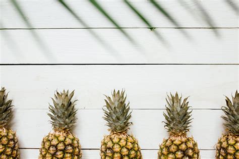 잘 익은 파인애플 나무 흰색 바탕에 테두리 프레임입니다 열 대 과일 창조적인 개념입니다 복사 텍스트 문자 위한 공간입니다 0명에 대한 스톡 사진 및 기타 이미지 Istock