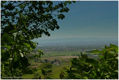 Blick Ins Elsaß Foto And Bild Fotos Natur Landschaft Bilder Auf