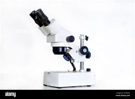What Is A Small Instrument Used To Magnify Objects At Karrie Keane Blog