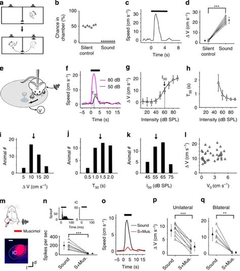 Auditory Cortex Controls Sound Driven Innate Defense Behaviour Through Corticofugal Projections
