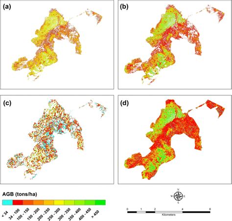 Maps Of Agb Estimates Derived From Remote Sensing Data A Agb Estimate