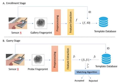 Cross Sensor Fingerprint Matching Using Siamese Network And Adversarial