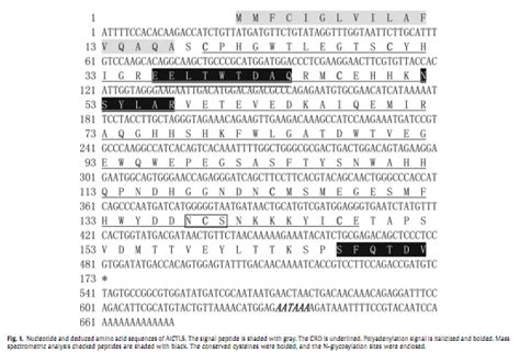 Does Anyone Know How To Create Nucleotide And Amino Acid Deduced
