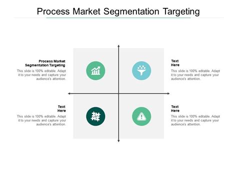 Process Market Segmentation Targeting Ppt Powerpoint Presentation Inspiration Cpb Powerpoint