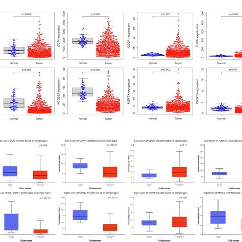 Differential Expression Analysis Of The Prognostic Genes Based On Tcga Download Scientific