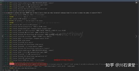 安全测试sqlmap渗透扫描工具 知乎