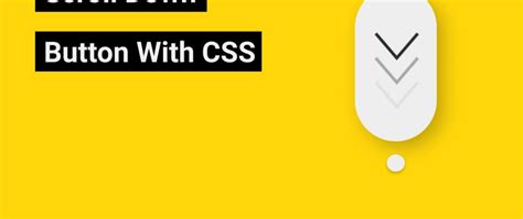 Multiple Ways To Set Non Reactive Values On A Vue Component Dev Community