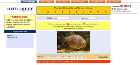 Discover The Best Clone Scripts For Your Fun And Entertainment Portal