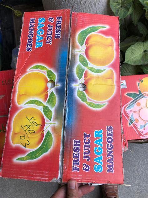 Alphonso Mango Hapus Aam At ₹ 1100box अल्फांसो आम In Nagpur Id 20718832797