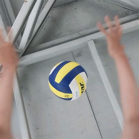 배구연습배구배구연습연습중 Youtube