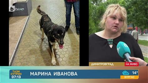 Бездомно куче нахапа до смърт домашен любимец в Димитровград „Тази сутрин“ БТВ Youtube