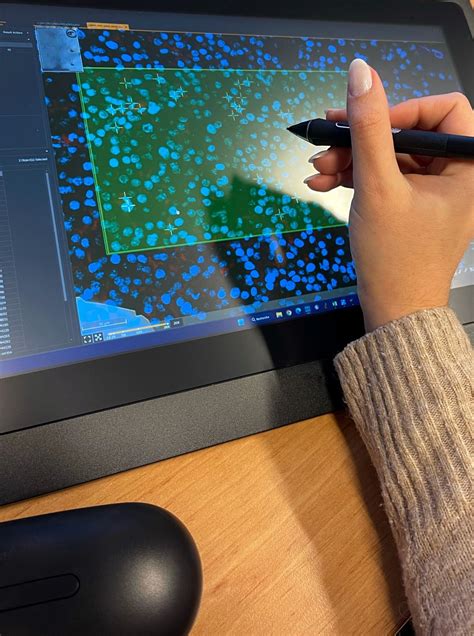 Creating A Nuclei Algorithm For Image Quantification Using Halo