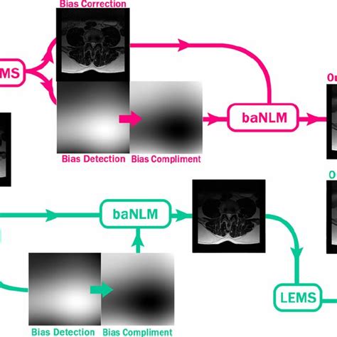 two varying methodological paths used for realising the bias adaptive