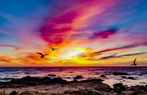 Pink Sky Sunset Free Stock Photo Public Domain Pictures